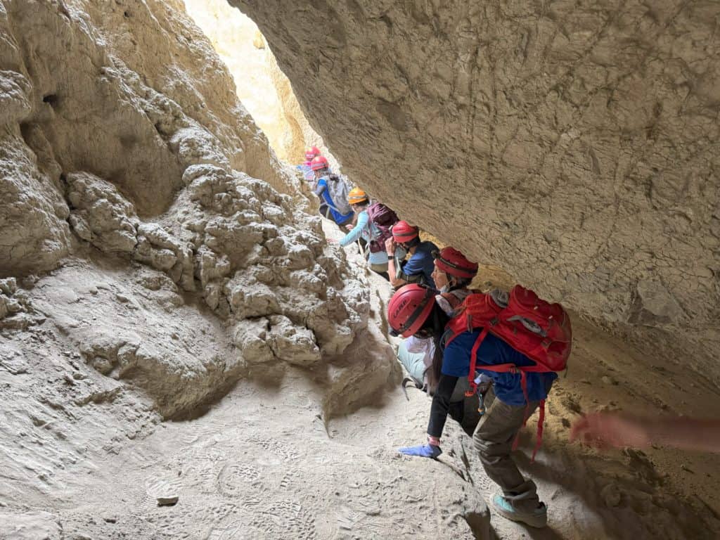 Newsletter - March 2025 | Troop 226 San Diego